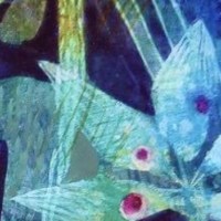 Contact – Hari B Poet